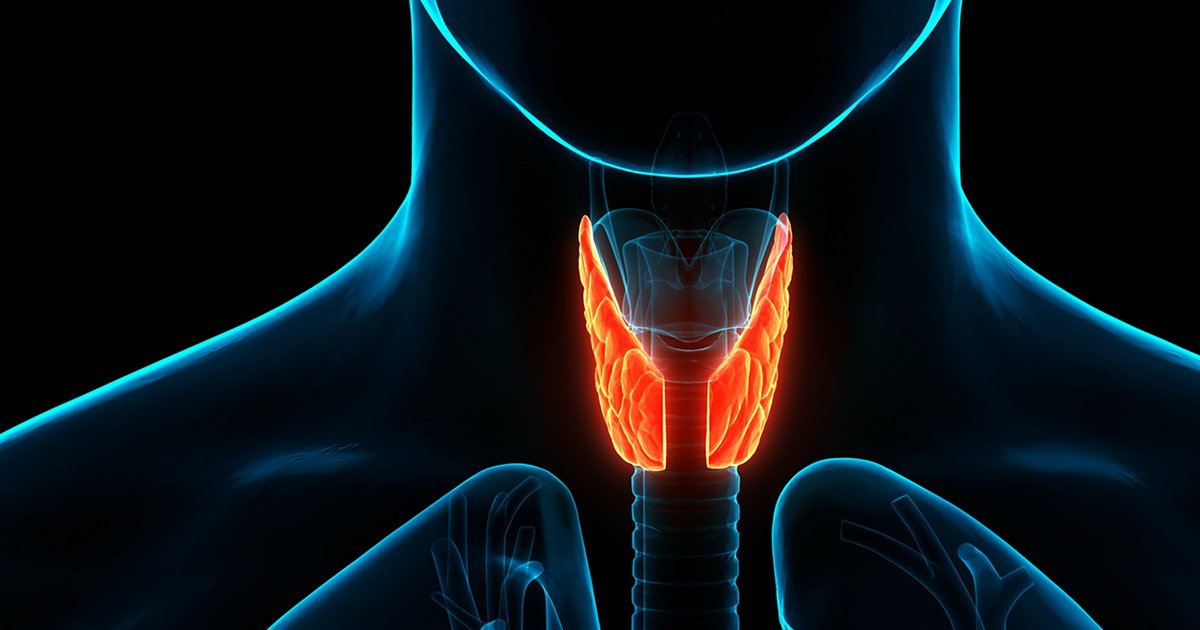 Il sistema endocrino