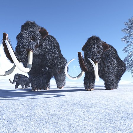 Synthetic meat, meatball made from mammoth meat in Australia