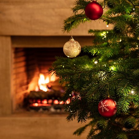 L’origine dell’albero di Natale: una tradizione millenaria