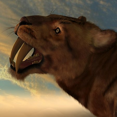 A sabre-toothed tiger cub found in ice